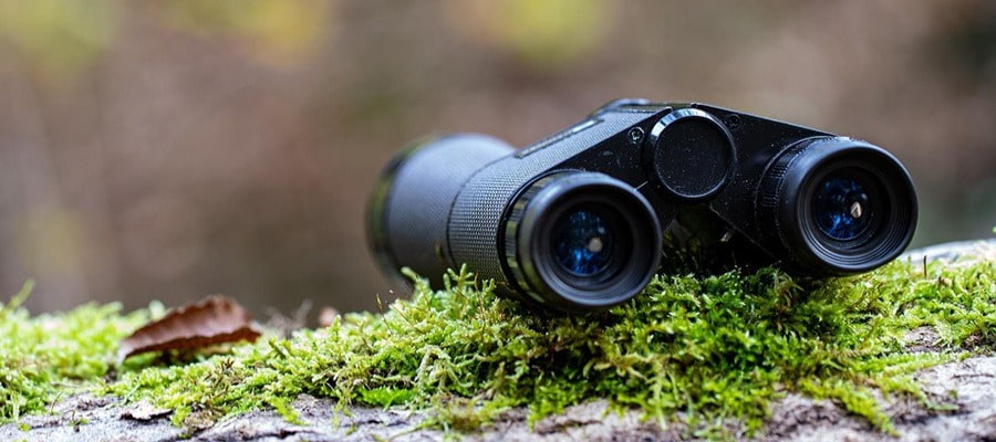 The Search for ESG talent · Allen & York