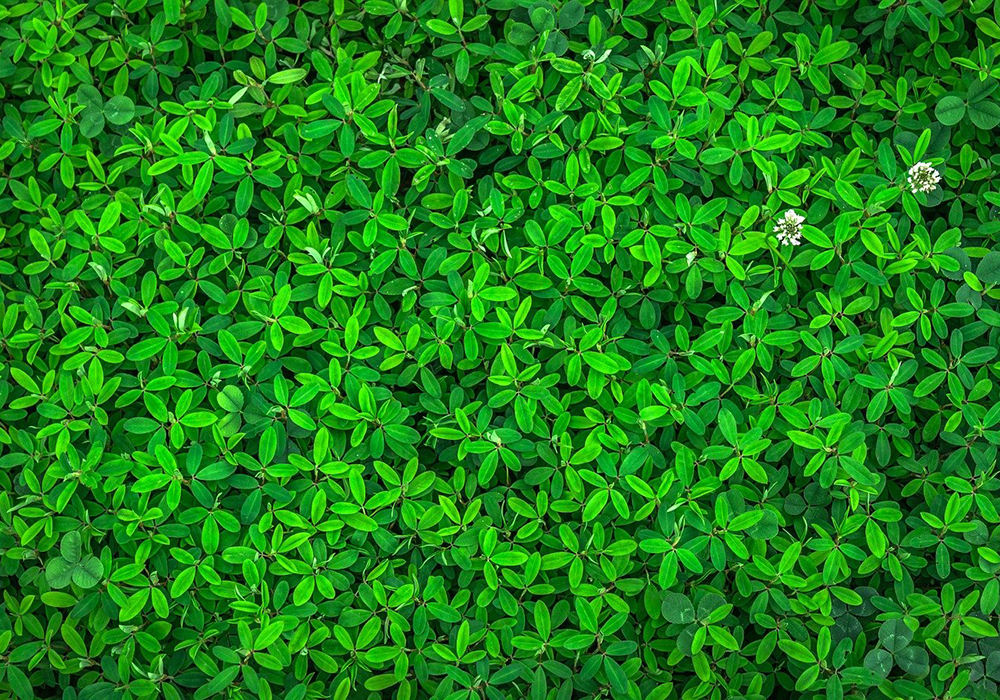 30 YEARS AND COUNTING... · Allen & York