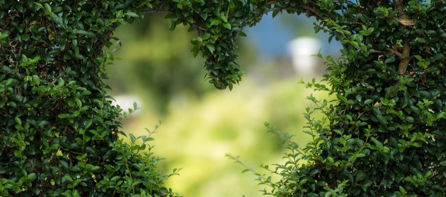 Building back better · Allen & York